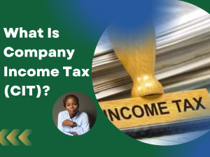What Is Company Income Tax (CIT)? – Marb Corporate